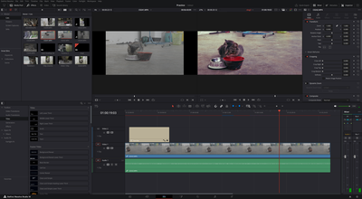 Getting Started with DaVinci Resolve Linux on AMD and Ubuntu Linux ...