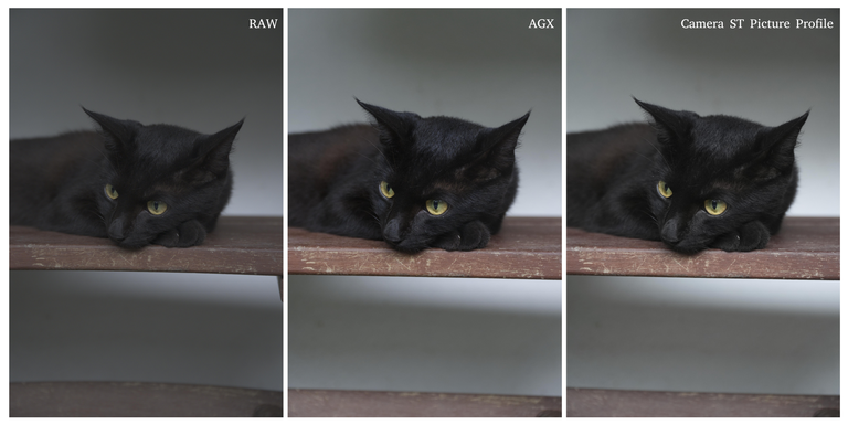 Darktable AgX Camera Style for A6700 — Khairil Yusof